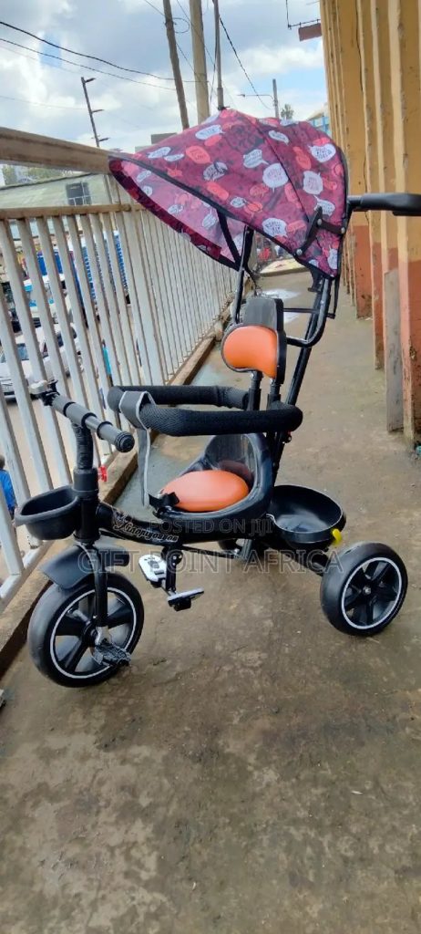 Canopy Tricycle + Push Handle Bar For Kids 1-4 Years | Bicycle.co.ke ...